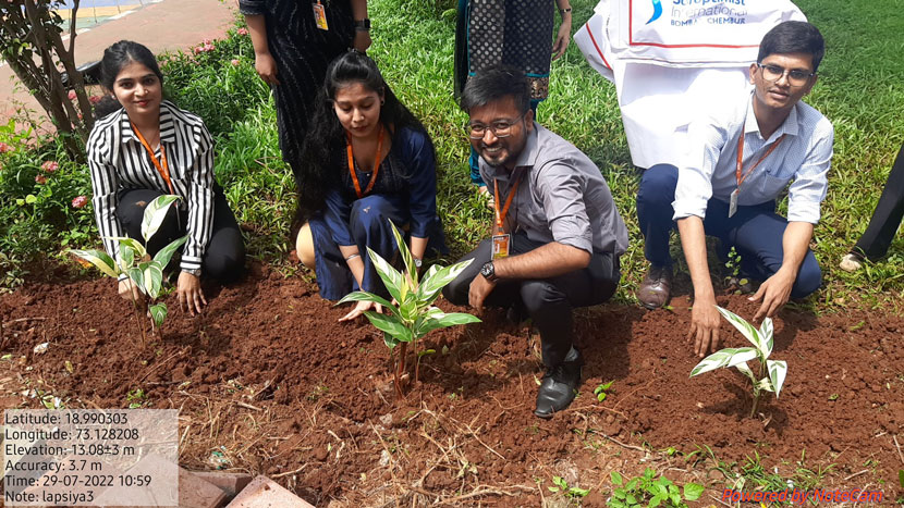 Tree Plantation Drive - MDP | Pillai Business School
