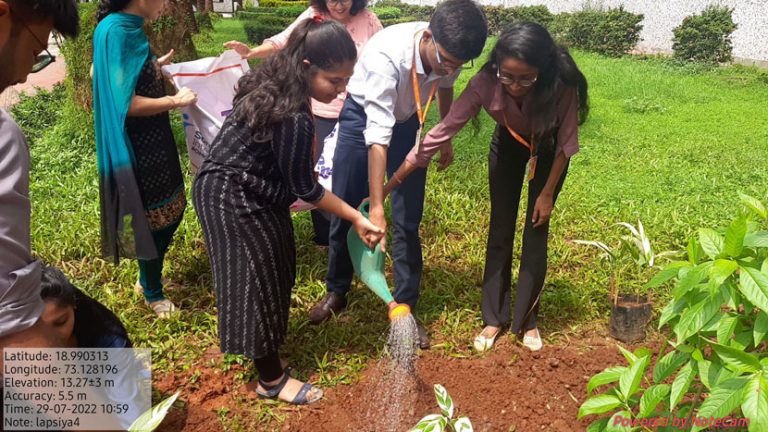 Tree Plantation Drive - MDP | Pillai Business School