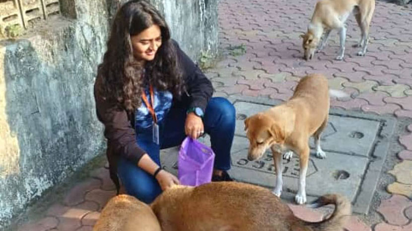 Animal Feeding Drive - MDP | Pillai Business School